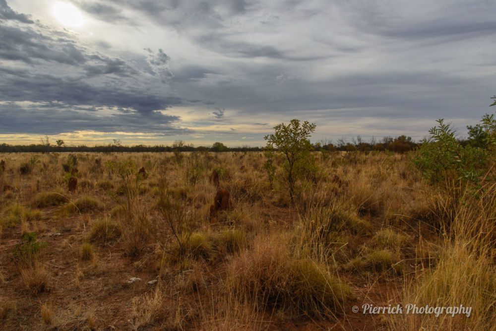 S'aventurer en plein coeur du désert australien sur la Tanami track