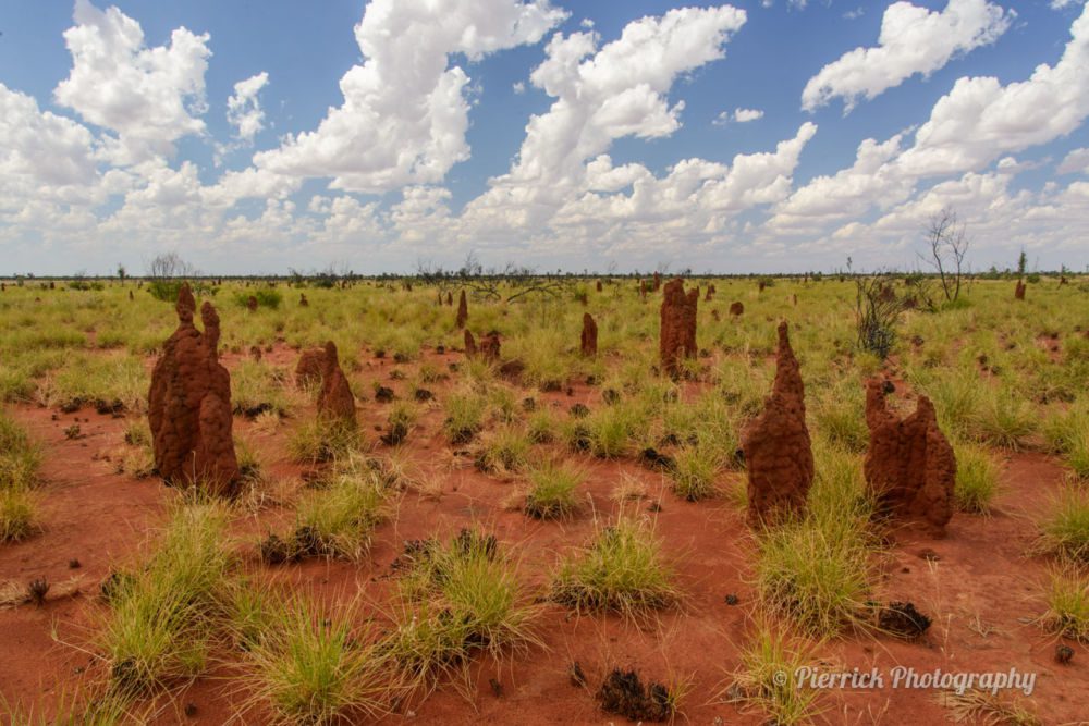 S'aventurer en plein coeur du désert australien sur la Tanami track