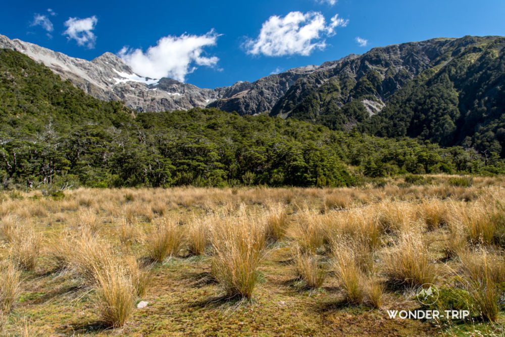 Bealey valley | Randonnée en Nouvelle-Zélande | Arthur's pass national park