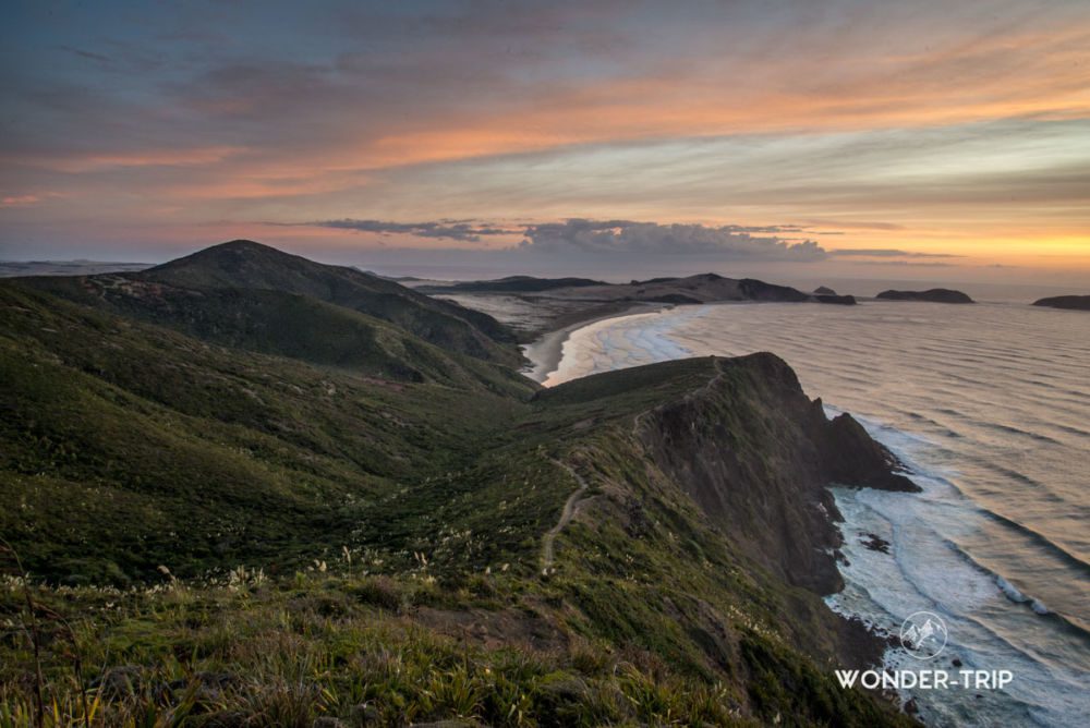 Cap Reinga : road trip jusqu'à l'extrême nord de Nouvelle-Zélande