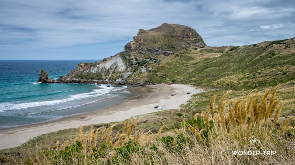 Castlepoint : son phare et son spectaculaire littoral