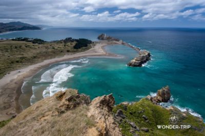 Castlepoint : son phare et son spectaculaire littoral