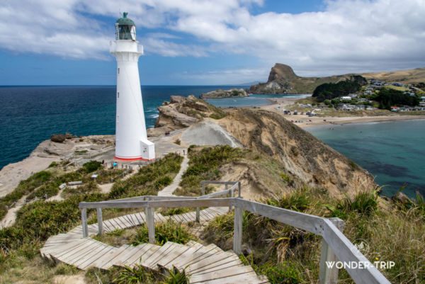 Castlepoint : son phare et son spectaculaire littoral