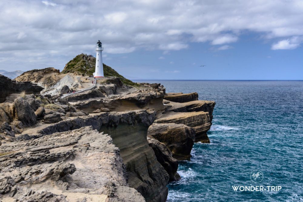 Castlepoint : son phare et son spectaculaire littoral