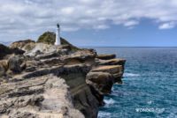 Castlepoint : son phare et son spectaculaire littoral