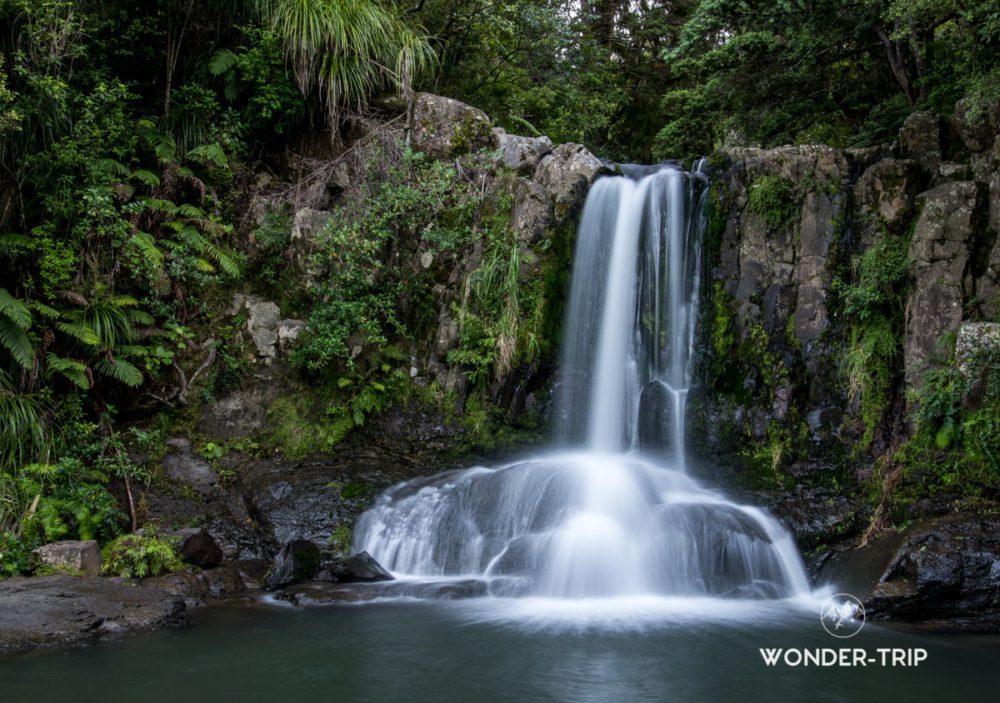 Péninsule de Coromandel : que faire en plus de Cathedral cove et Hot water