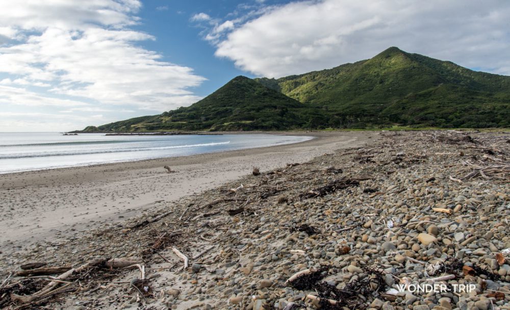East Cape - Road trip sur la Pacific Coast Highway d'Opotiki à Gisborne