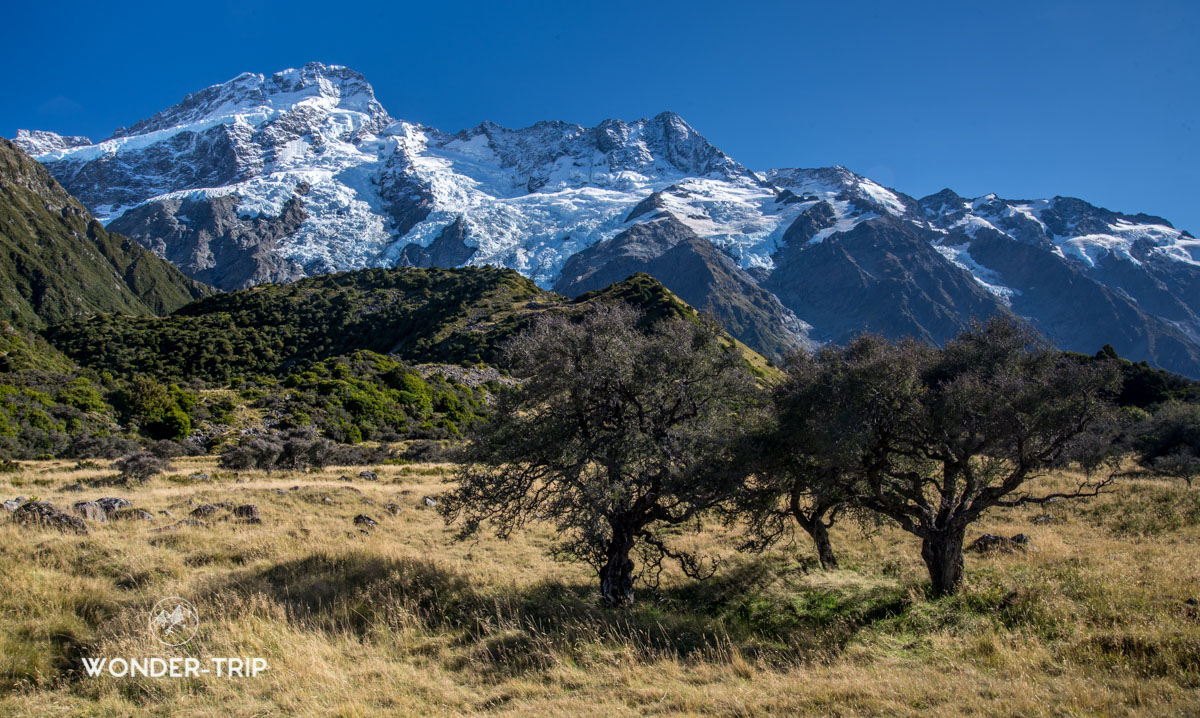 Les meilleures randonnées du parc national du mont Cook - Aoraki