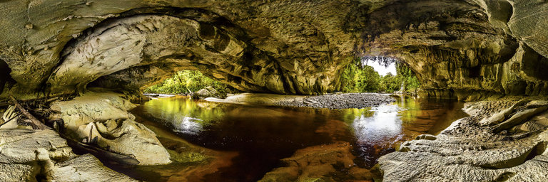 Oparara basin : au coeur de la forêt vierge du parc national de Kahurangi