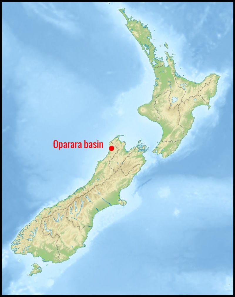 Oparara basin : au coeur de la forêt du parc national de Kahurangi