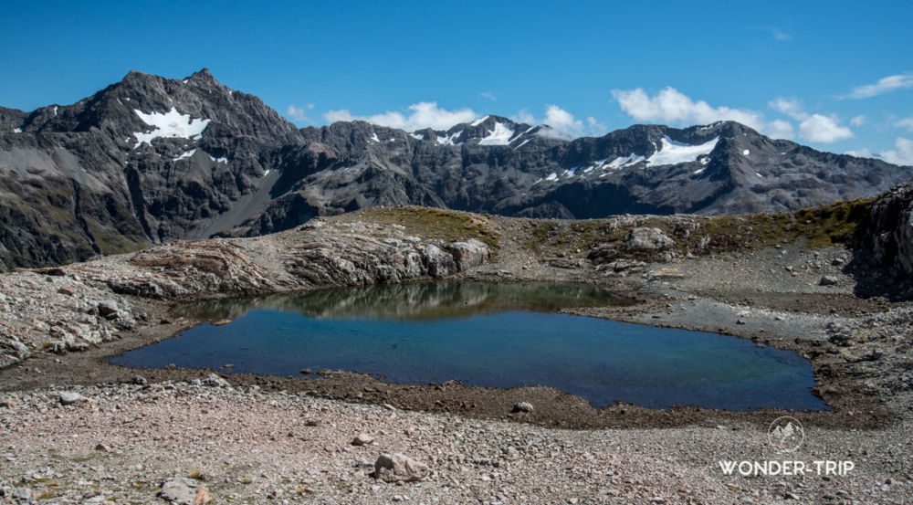 Temple basin track | Randonnée NZ | Arthur's pass national park