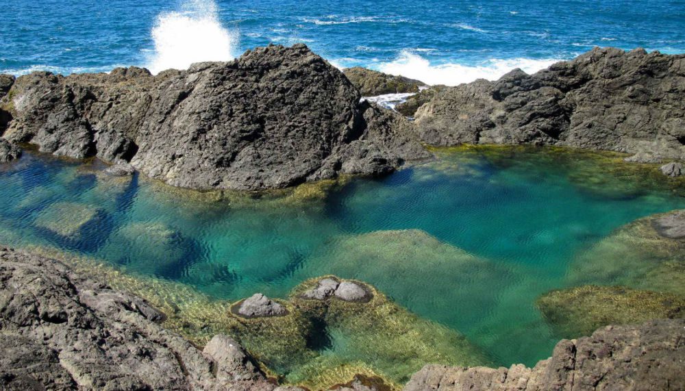 Whangarei : Guide pour visiter la région et la côte de Tutukaka - Matapouri